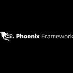 Hire A Phoenix Developer - BizCoder